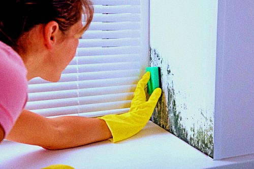 How to get rid of the musty smell in the basement?